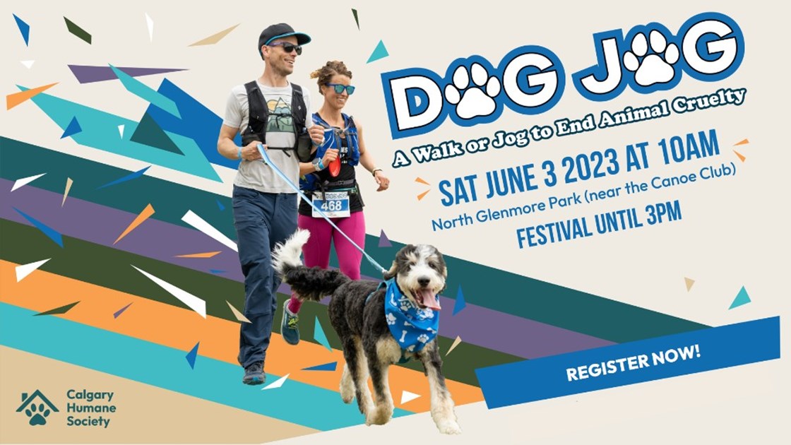 Amanda Muskego is fundraising for Calgary Humane Society