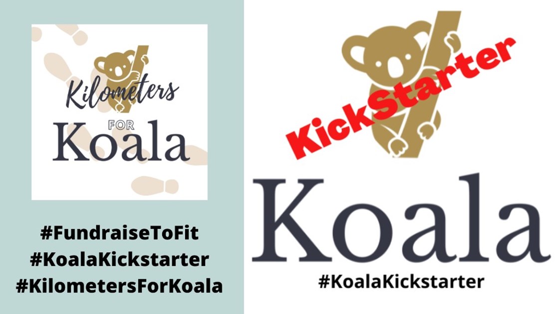 Molly Moffat is fundraising for More Education