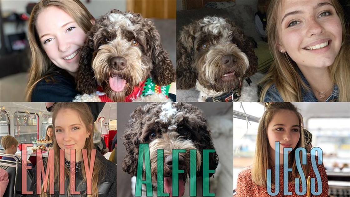 Jessica Georgiadis is fundraising for Battersea