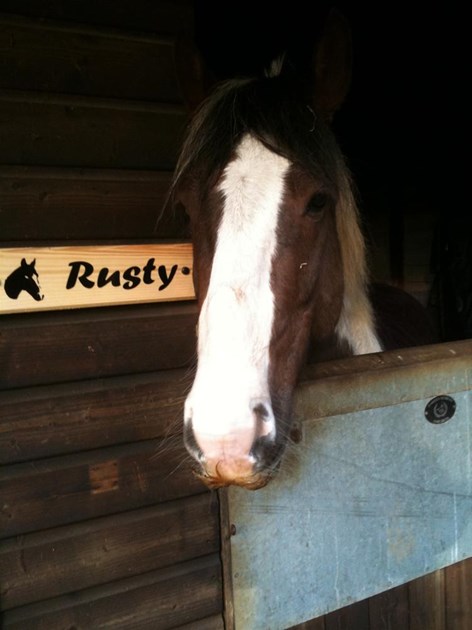 Tomi Dunstan is fundraising for Cranleigh RDA