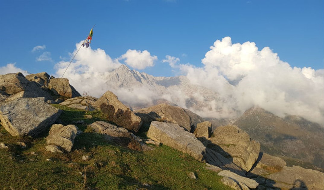 Megan McCaughey is fundraising for Marie Curie