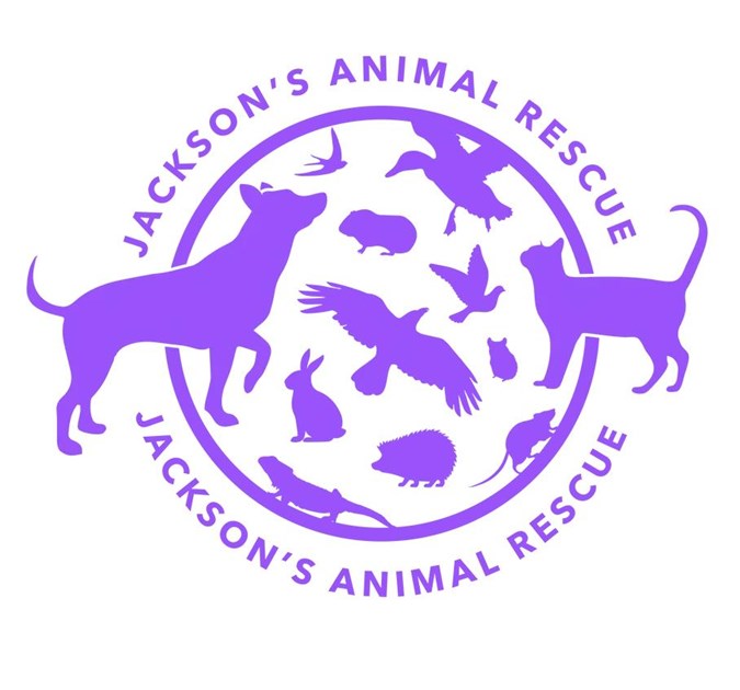 Jess Geddes is fundraising for Jackson's Animal Rescue