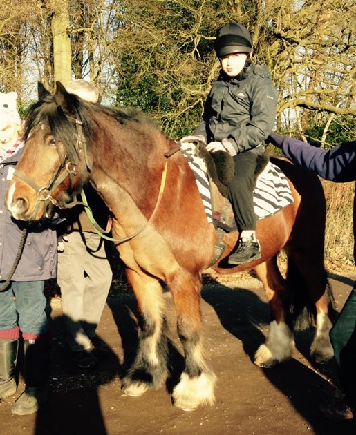Amanda Stansfield is fundraising for Gaddesden Place Riding for the ...