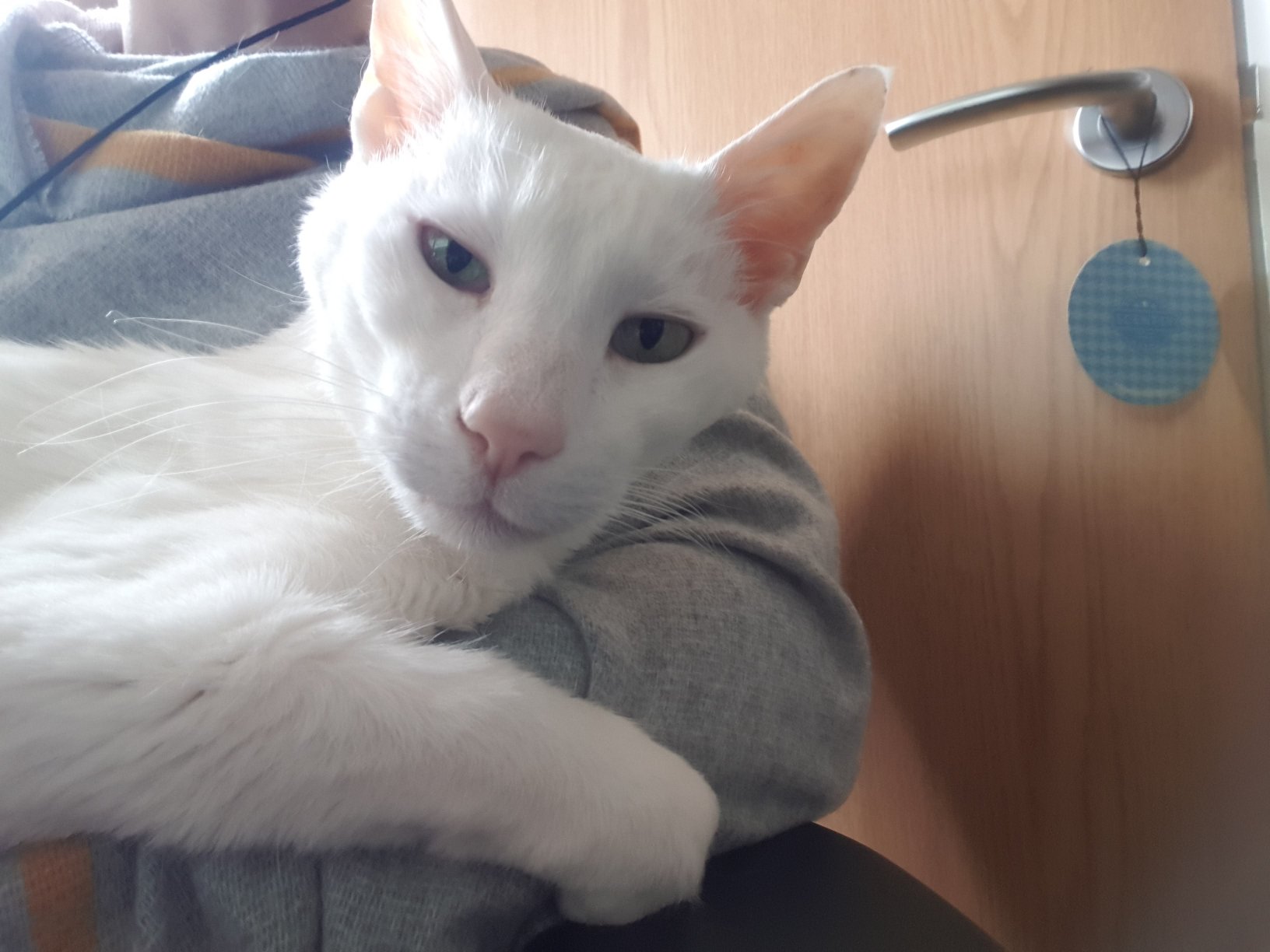 Michelle Noe is fundraising for WWF-UK