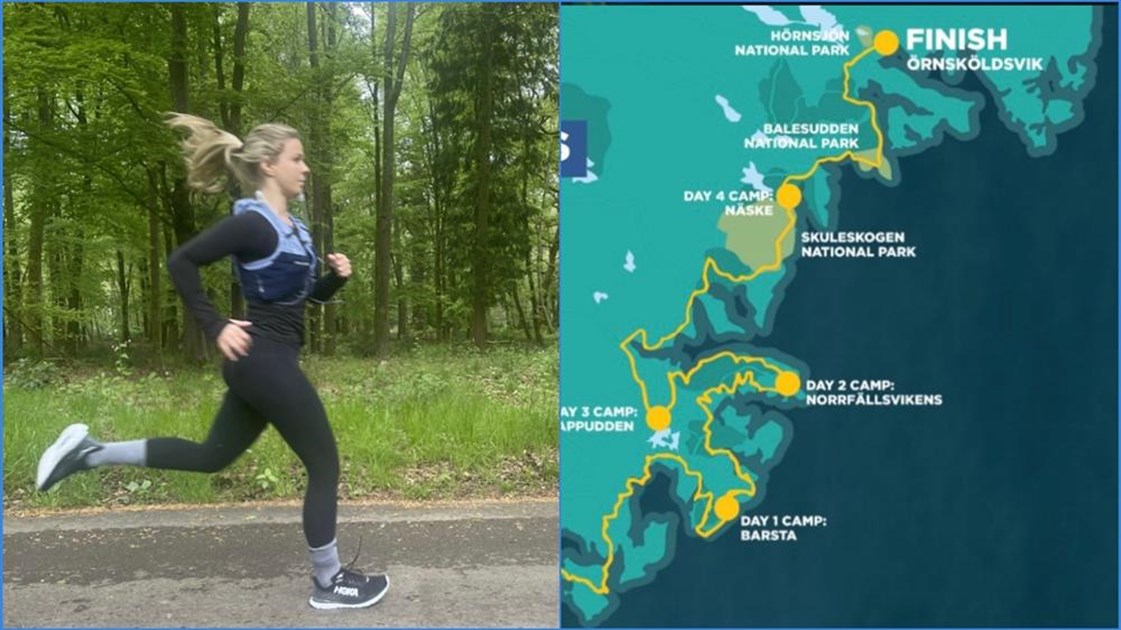 Sarah Stancliffe is fundraising for TRIBE Freedom Foundation