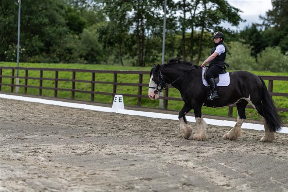 Marianne Prentice is fundraising for Riding for the Disabled ...