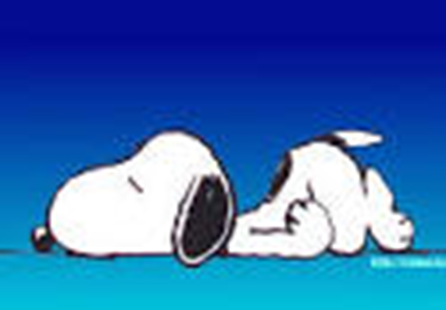 Kate Hegarty is fundraising for Focus Ireland