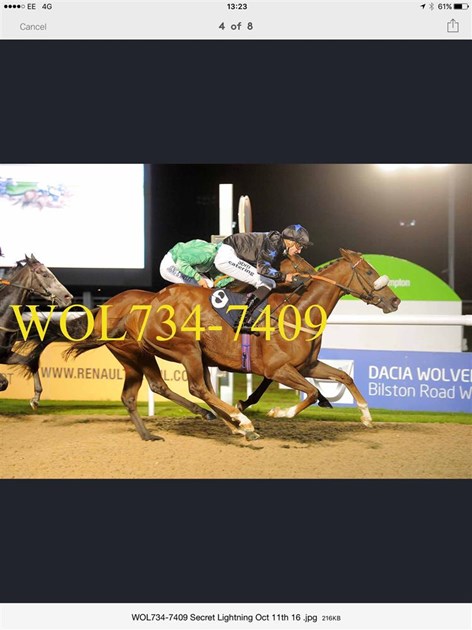 Michael Appleby is fundraising for The British Horse Society