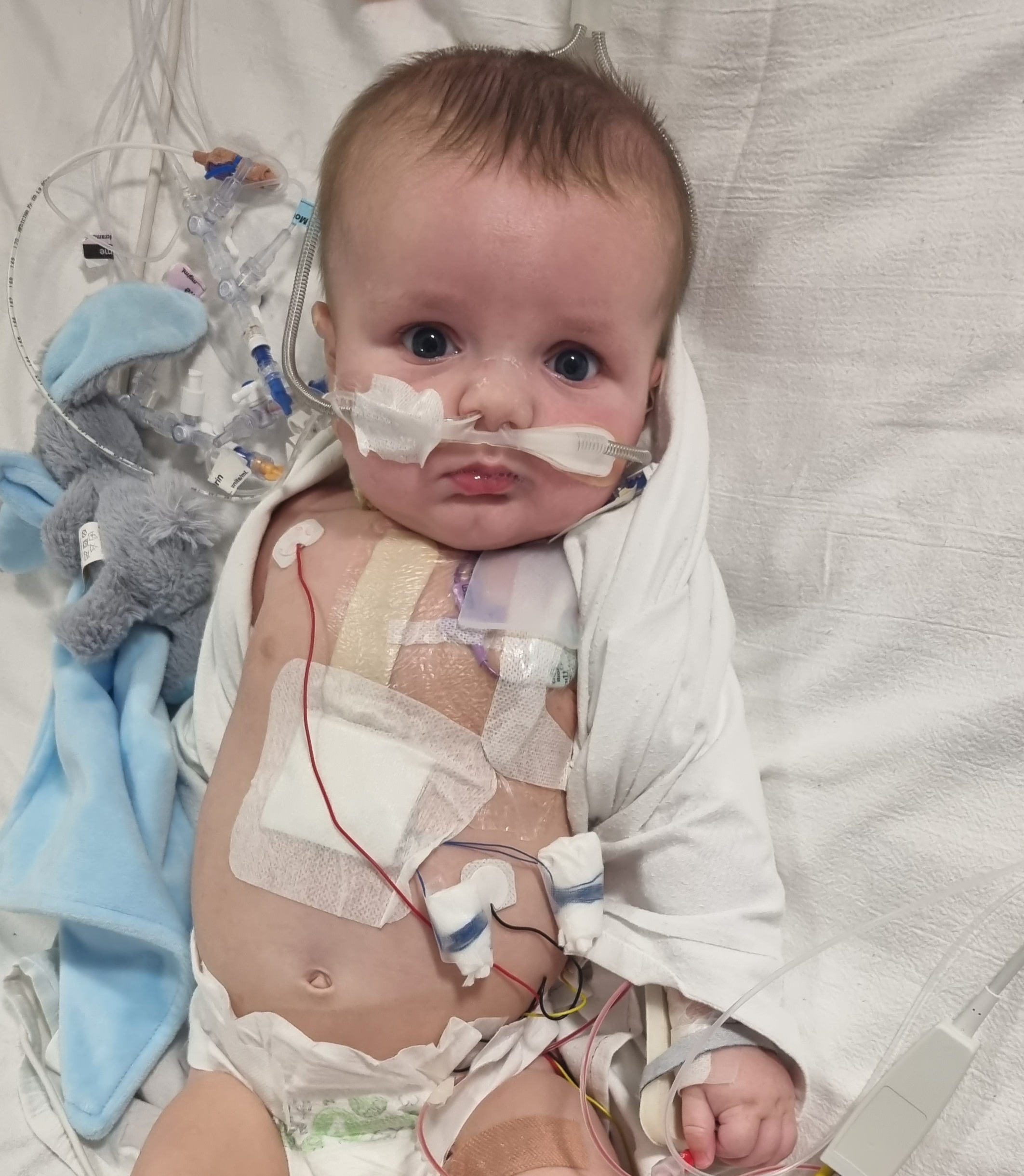 Walk for Great Ormond St hospital Charity, Addenbrooke’s Charitable ...