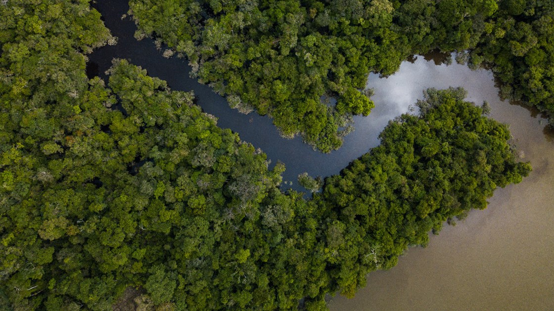 Daniel Weitsman is fundraising for WWF-UK