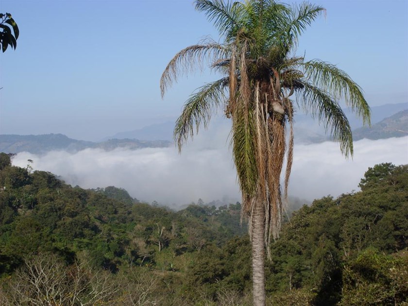 Phomolo Tshaka is fundraising for Action Change