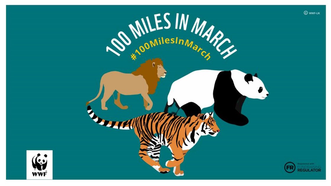 Stephanie Riddle is fundraising for WWF-UK