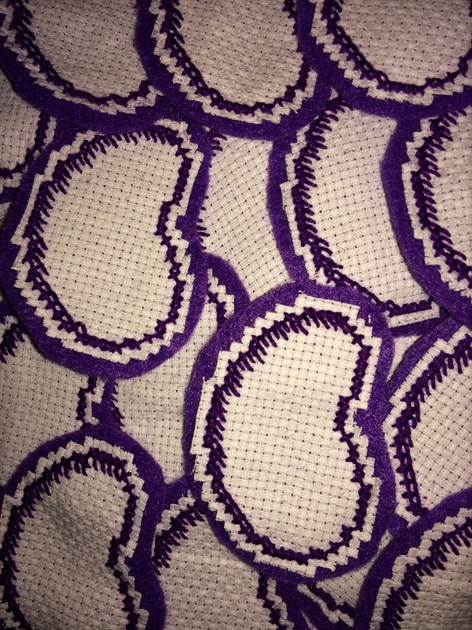 amy parkes is fundraising for Kidney Research UK