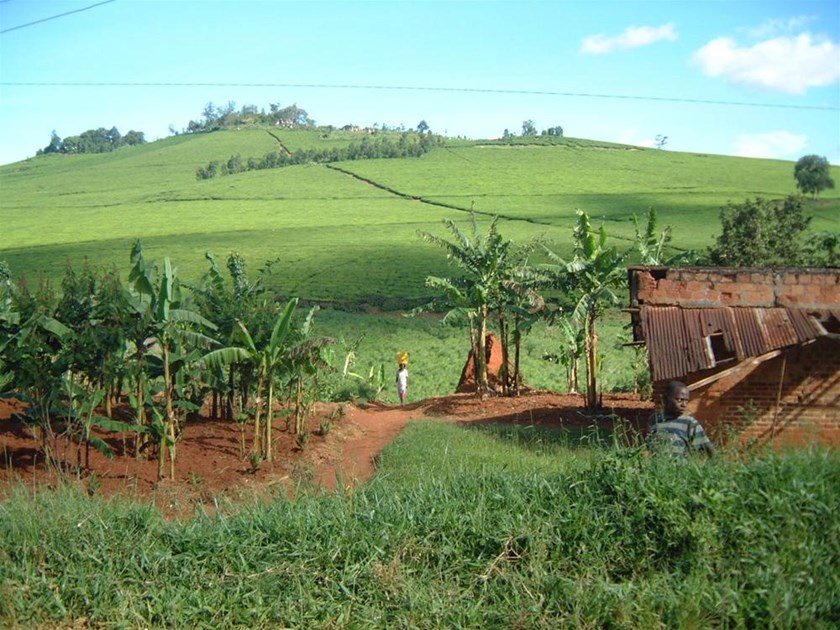 Alex Connolly is fundraising for ODA