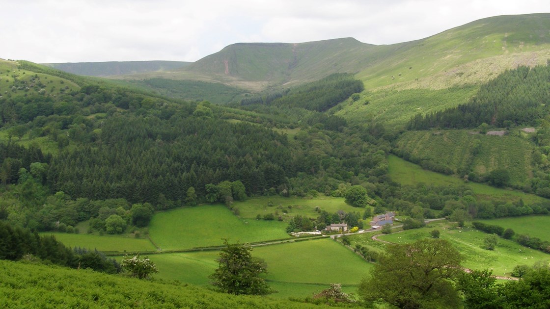 Nick Challis is fundraising for Alzheimer's Society