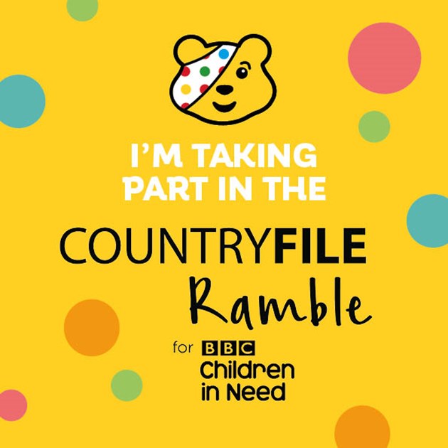 Wednesday Wanderers is fundraising for BBC Children in Need