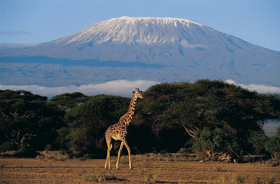 James Hider is fundraising for OCD Action