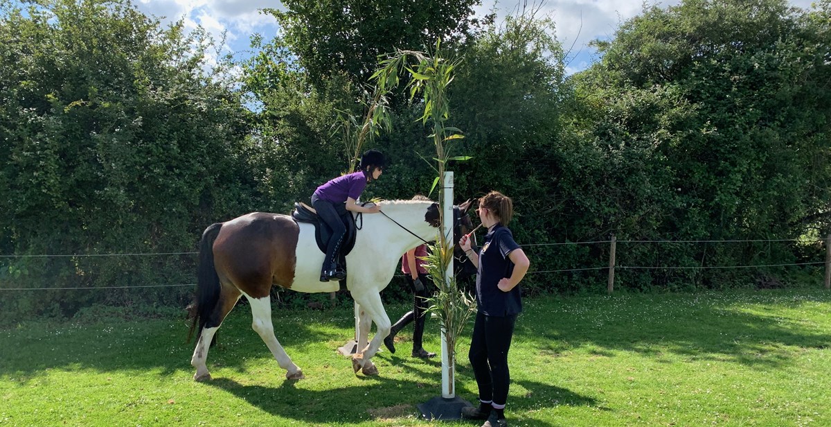 Isobel Gowers is fundraising for Barrow Farm Riding for the Disabled
