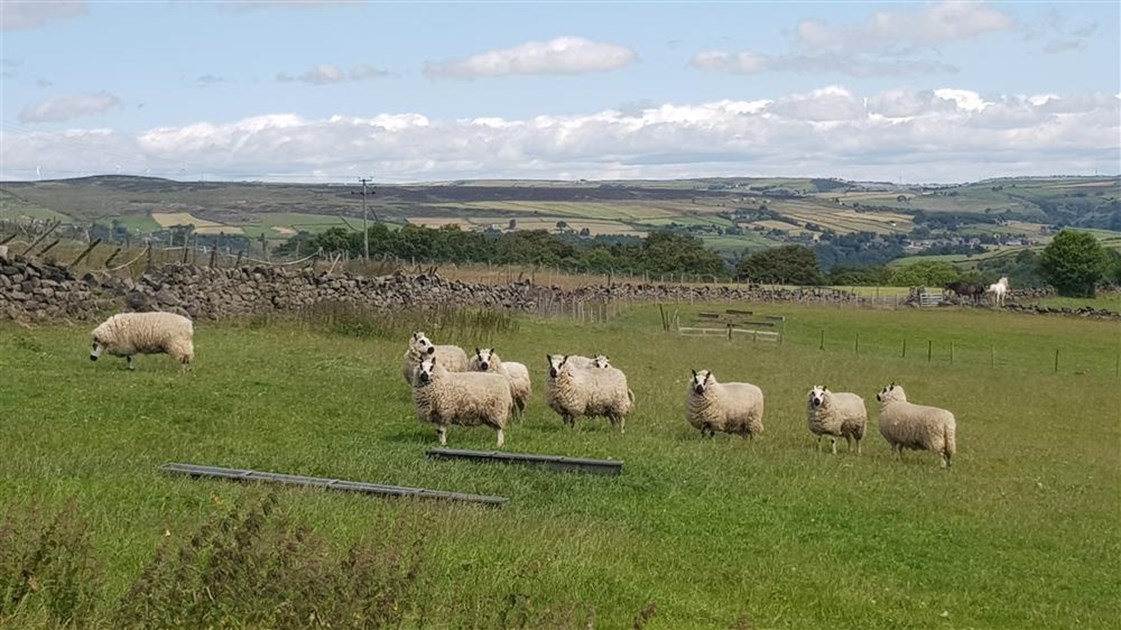 oliver crossley is fundraising for Contact (Manchester Young People's ...