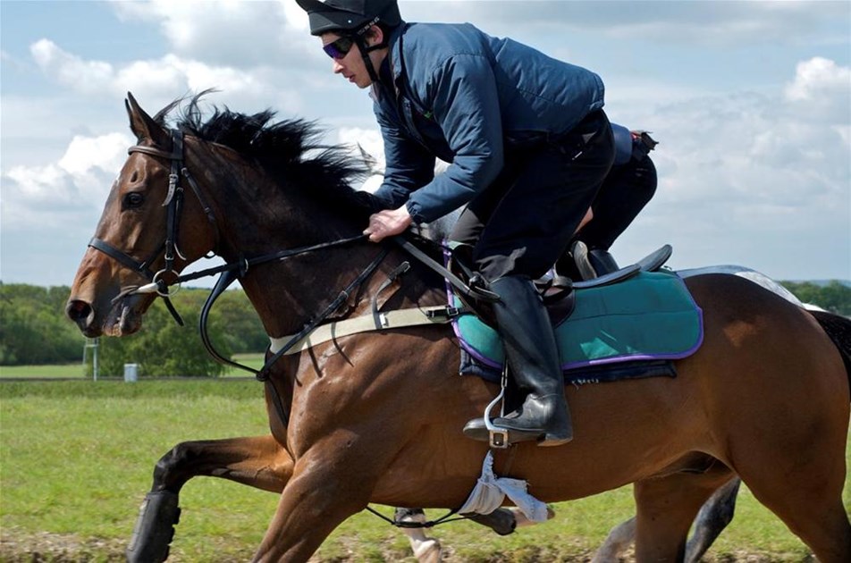 Michelle Bardsley is fundraising for National Horseracing College