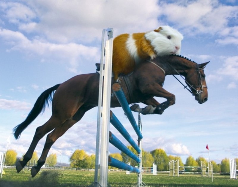 Charlie Hinton is fundraising for Wiltshire Air Ambulance Charitable Trust