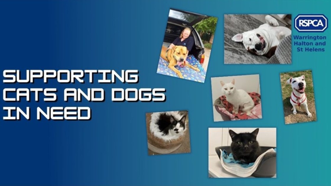 Teal Mermaid is fundraising for RSPCA Warrington, Halton & St Helens Branch