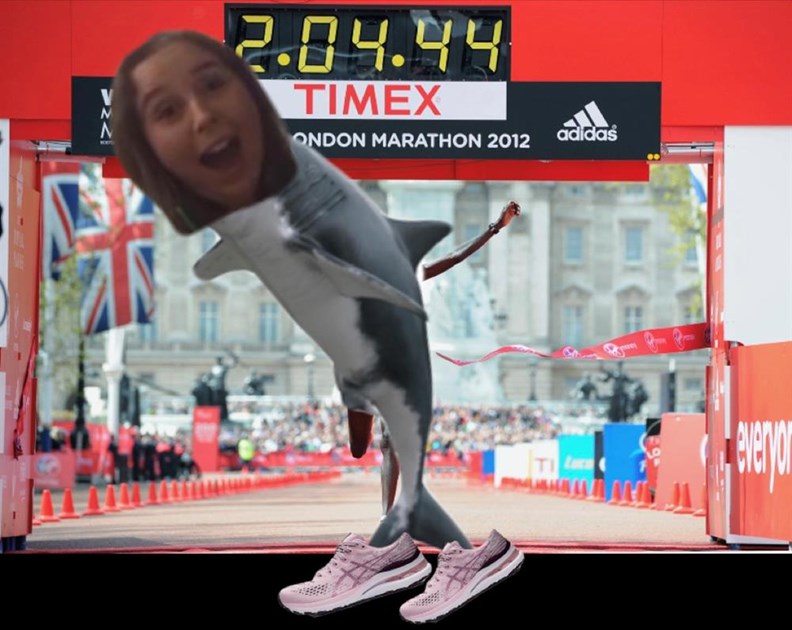 Alice Spiers is fundraising for The Shark Trust