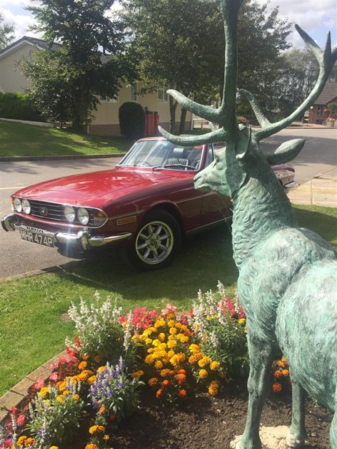 Roger Saunt is fundraising for Motor Neurone Disease Association