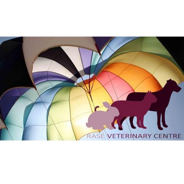 Rase Vets Skydive Team is fundraising for Mayflower Sanctuary