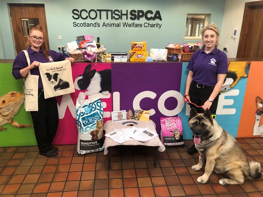 Rachel Mansfield is fundraising for Scottish SPCA