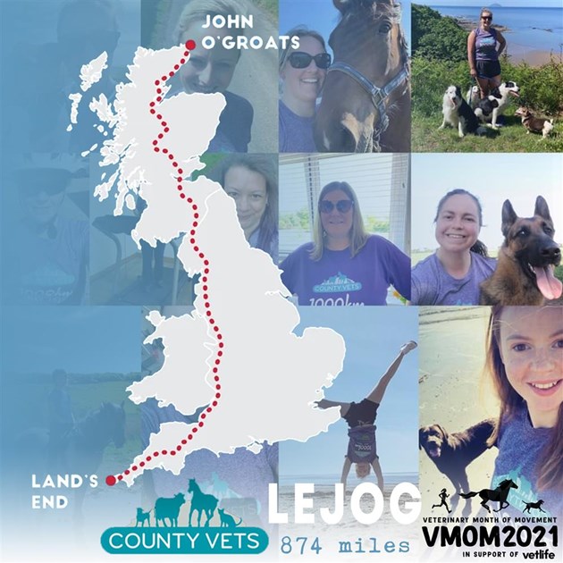 County Vets is fundraising for Vetlife