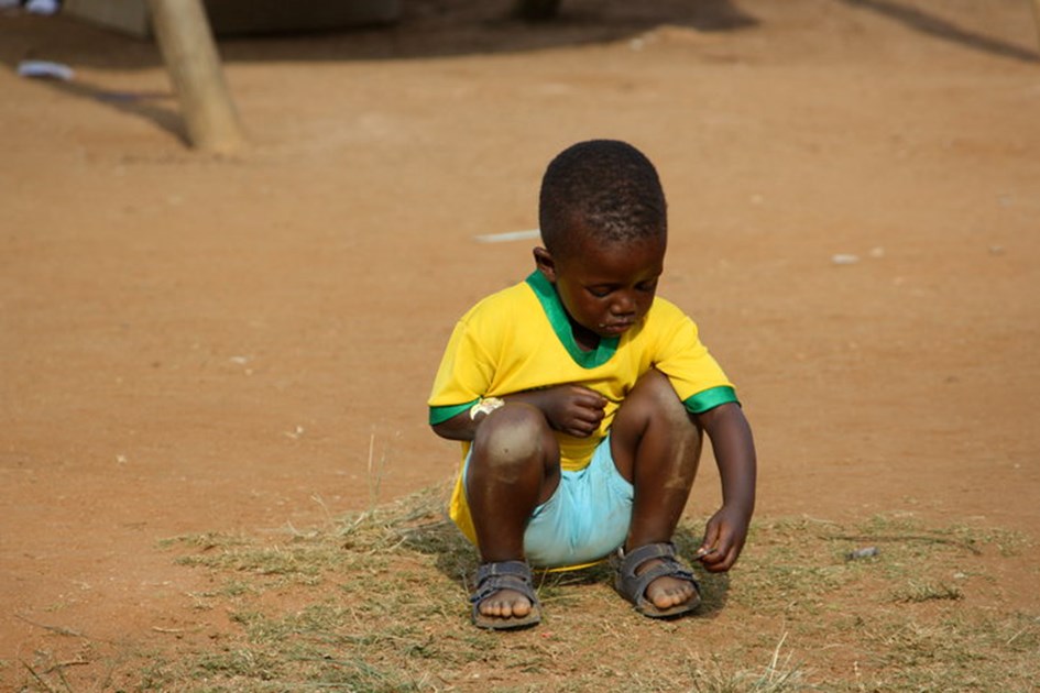 Anna Dolan is fundraising for Lionsraw - The Raw Foundation