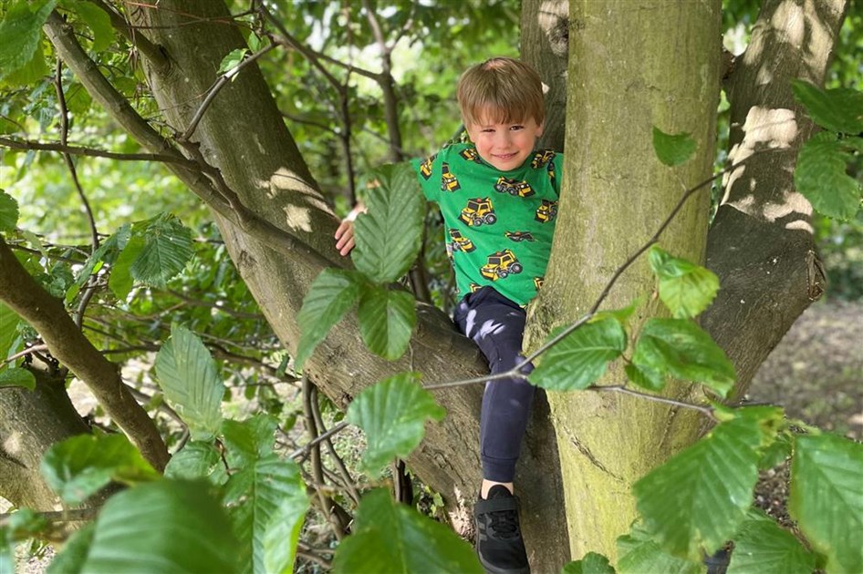 Liz Painter is fundraising for Friends of Newberries School