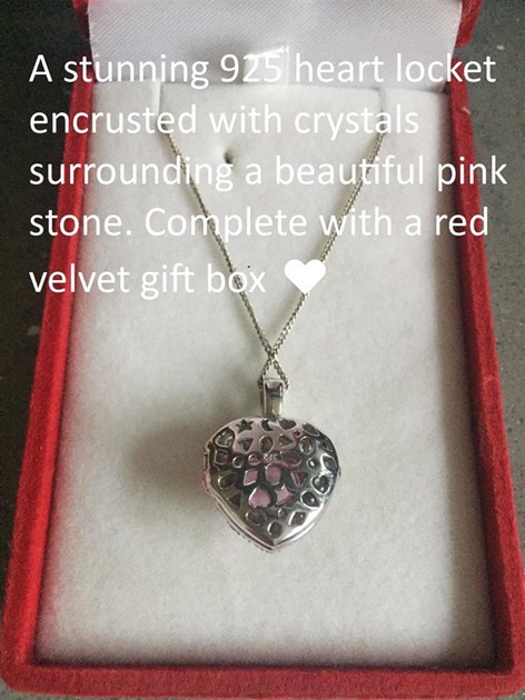 gregory gull is fundraising for BIRD AID