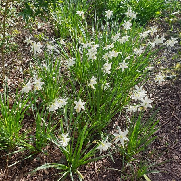 Felicity Clarke is fundraising for Cambridgeshire Community Foundation