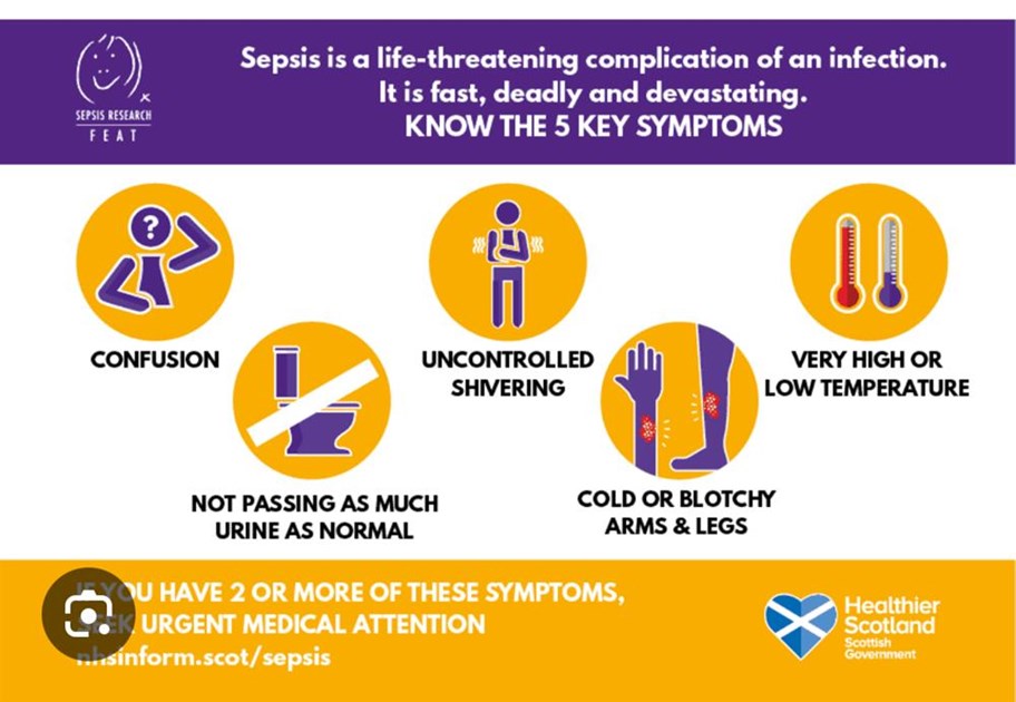 Karen Singer is fundraising for Sepsis Research FEAT