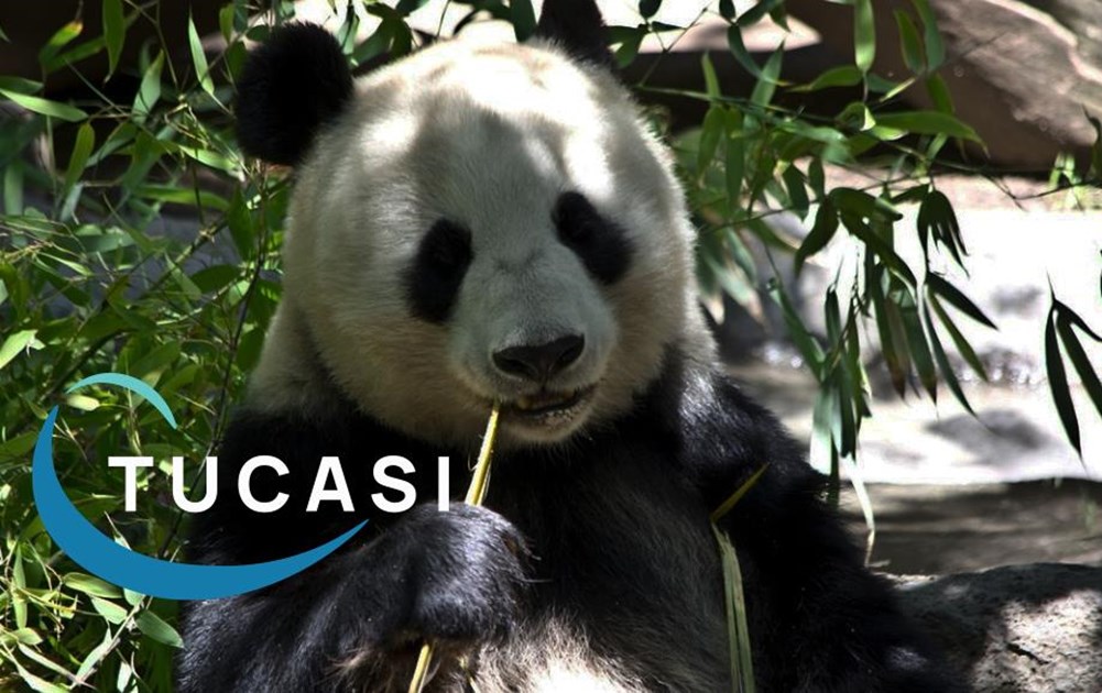 Tucasi Ltd is fundraising for WWF-UK