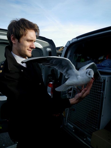 Anthony Joynes is fundraising for RSPCA