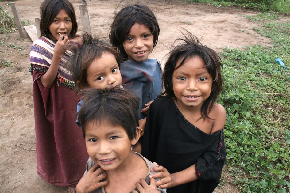 Alice Aldous is fundraising for Rainforest Foundation UK