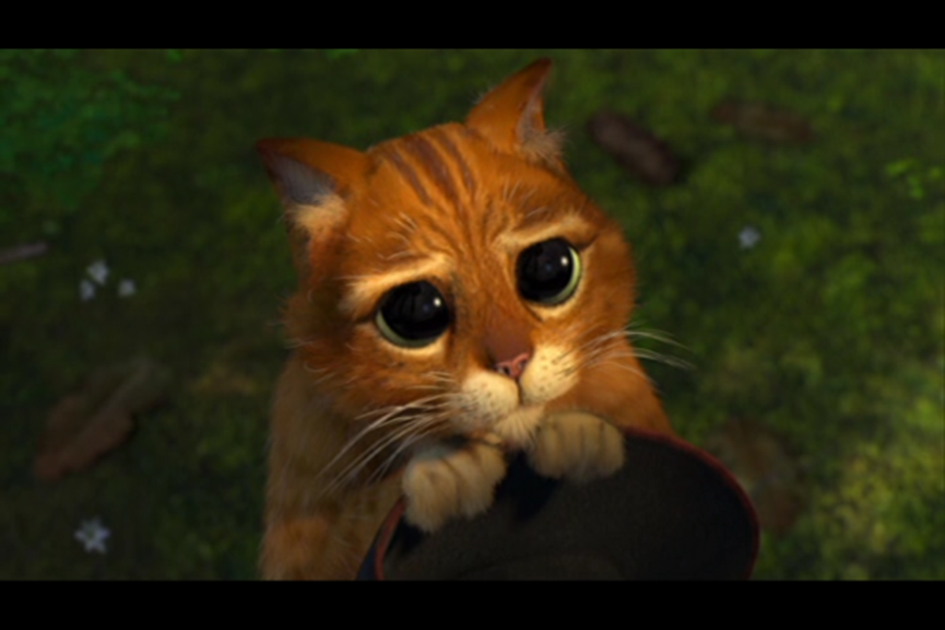 Catherine Neilan is fundraising for The Pavement