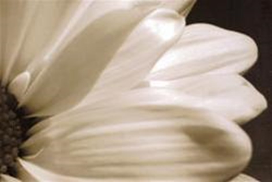 Helen Papadopoulos is fundraising for Friends of Amani (UK)