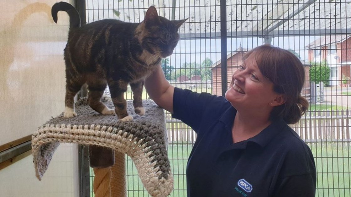 Lucy Innes is fundraising for RSPCA