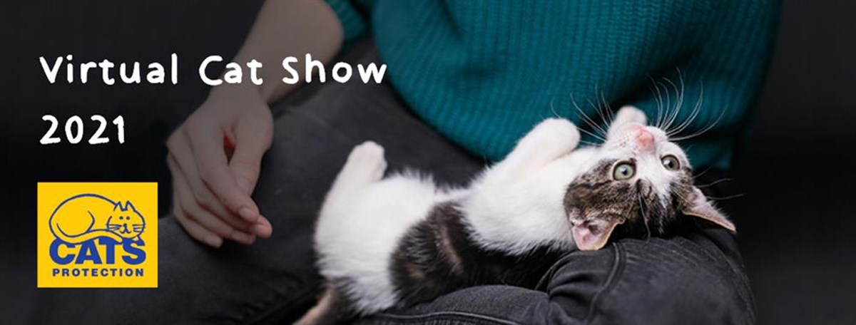 Harrow Cats Protection is fundraising for Cats Protection