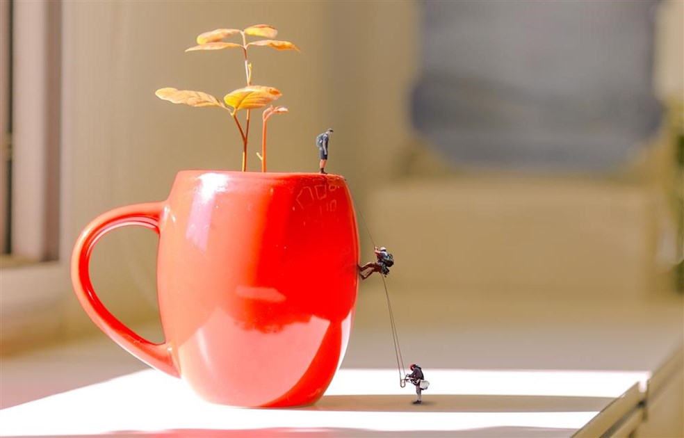 Karishma Ravalia is fundraising for Rainbows Hospice for Children and ...