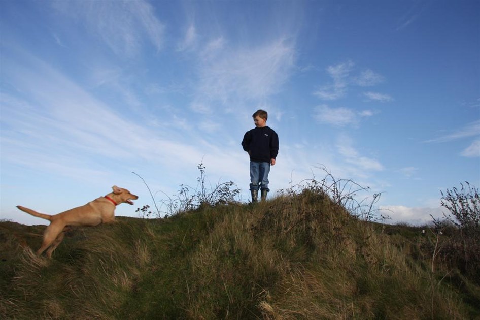 David Newberry is fundraising for Macmillan Cancer Support