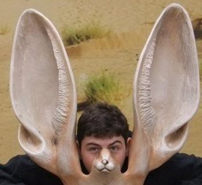 Callum Cooper is fundraising for Chailey Heritage Foundation