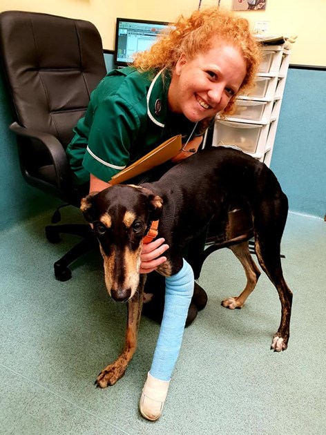 Lisa Cartwright is fundraising for Greyhound Gap