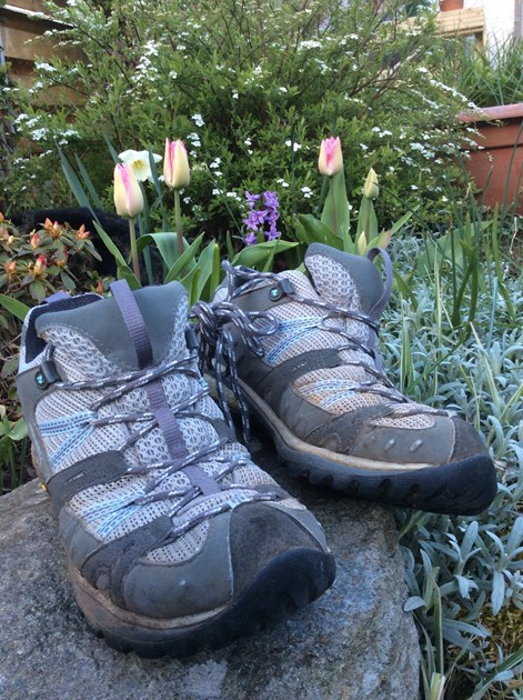 Jane Robson is fundraising for Fresh Start