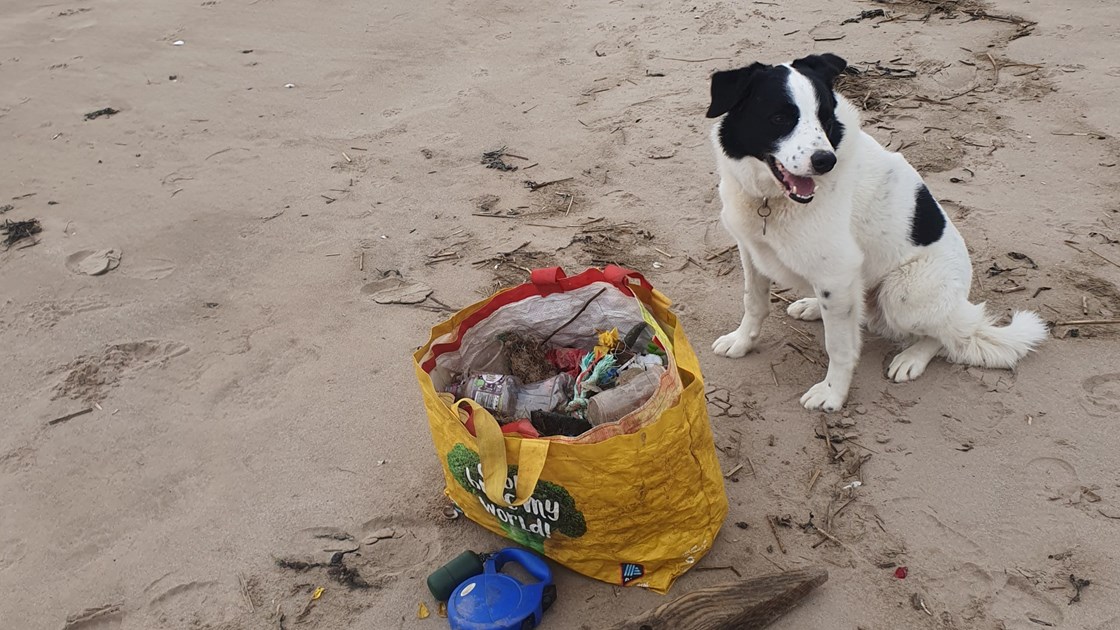 Sarah Mansell is fundraising for Paws on Plastic