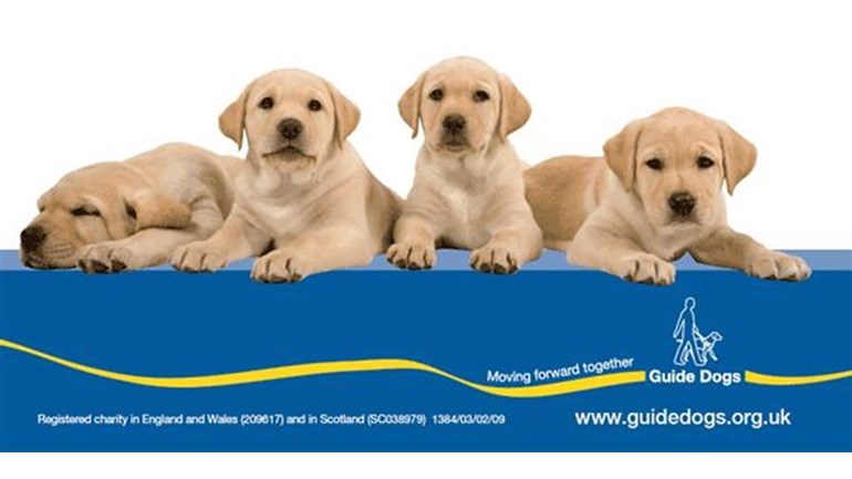 Alice Moore is fundraising for Guide Dogs
